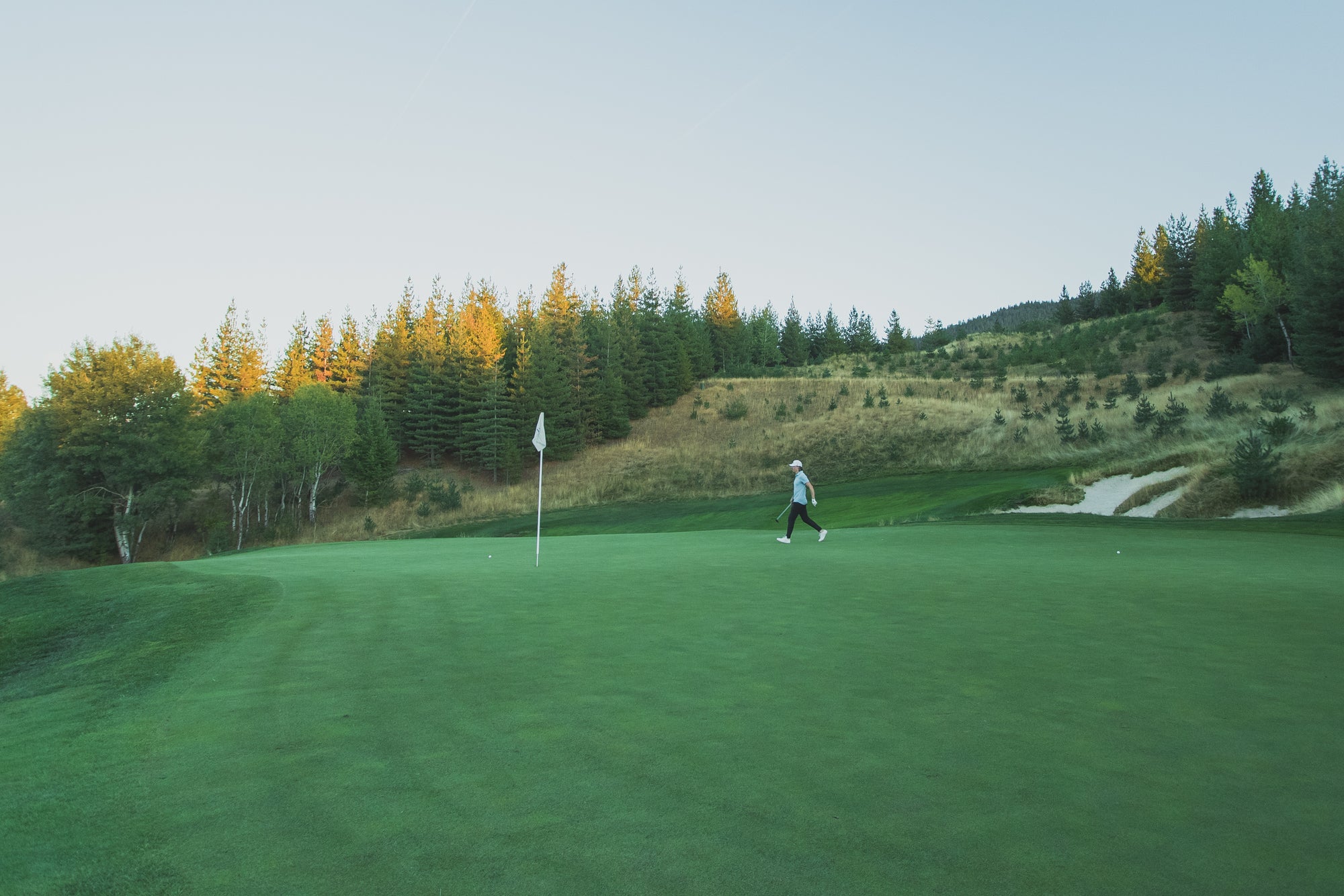 Byrdie Golf Irons